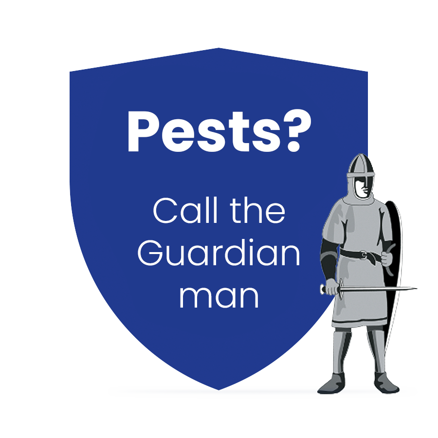 Guardian Pest Control | Pest Control in Somerset and Devon